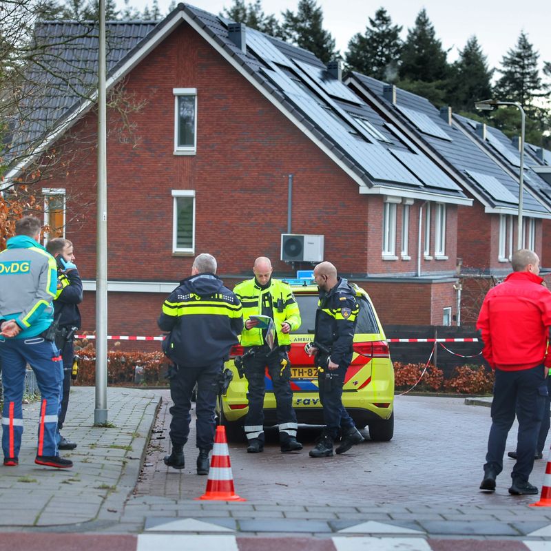 Verdachte (27) opgepakt na dodelijk steekincident in Den Dolder - RTV ...