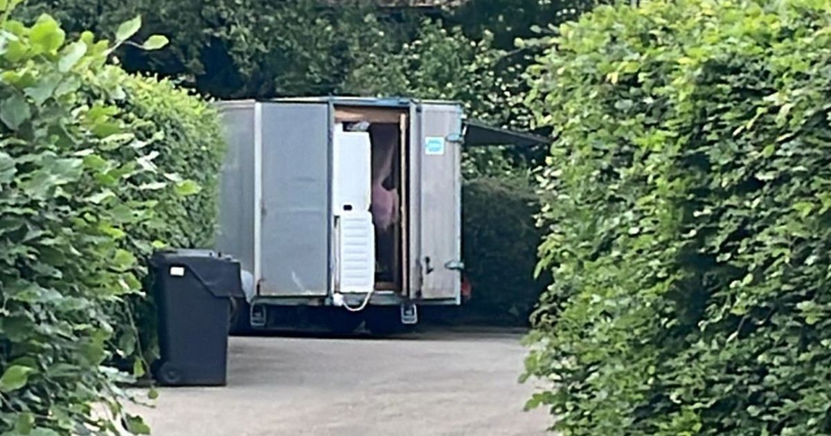 108 verwaarloosde katten gevonden in kar van 2 bij 4 meter - RTV Noord