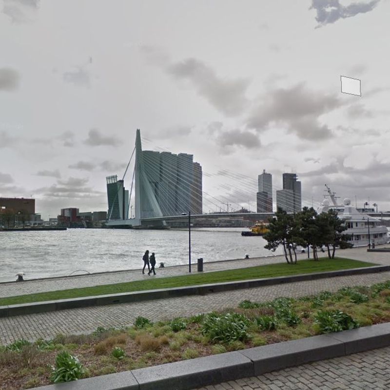 Rotterdam telt zevenduizend inwoners meer - Rijnmond