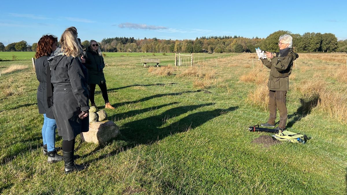 Gids wolvenexcursie: 'De wolf bepaalt zelf of hij hier hoort' - RTV Drenthe