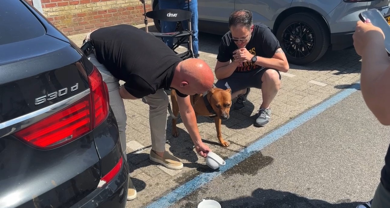 Politie tikt raam in en redt hond uit snikhete auto - L1 Nieuws