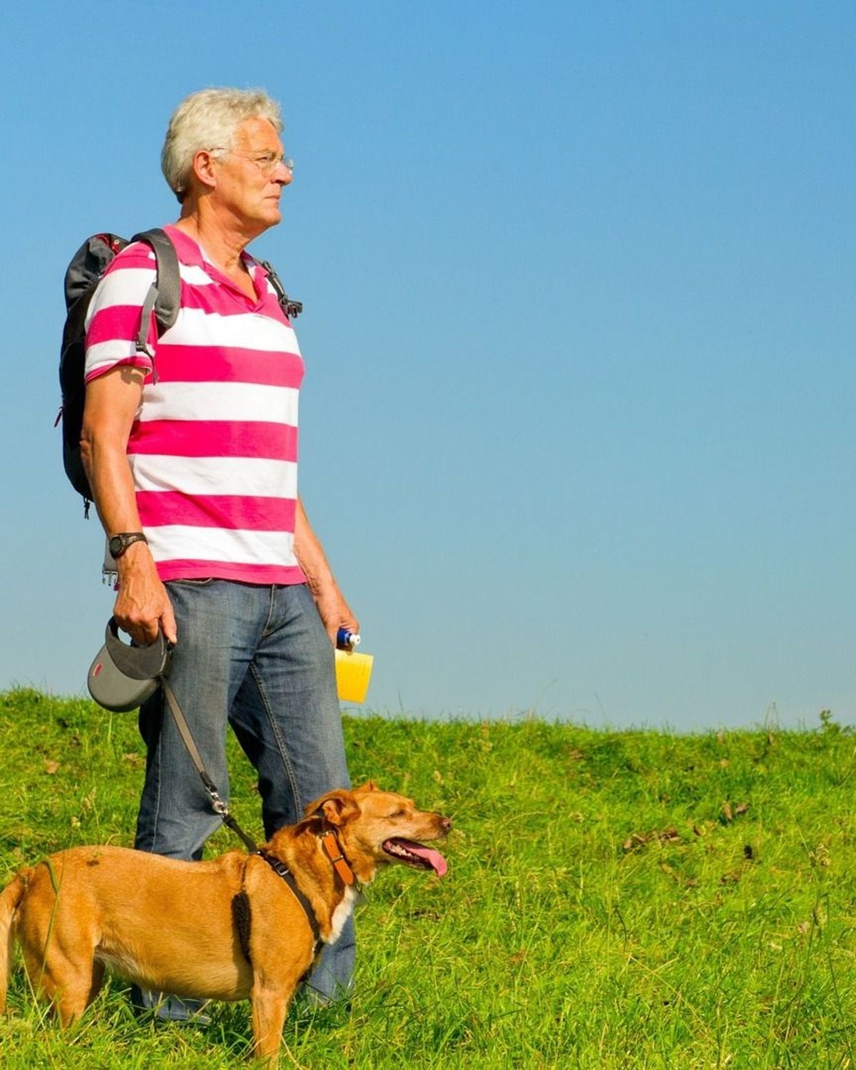 Eropuit met het mooie weer? Verstoor de natuur dan niet, dat kan geld ...