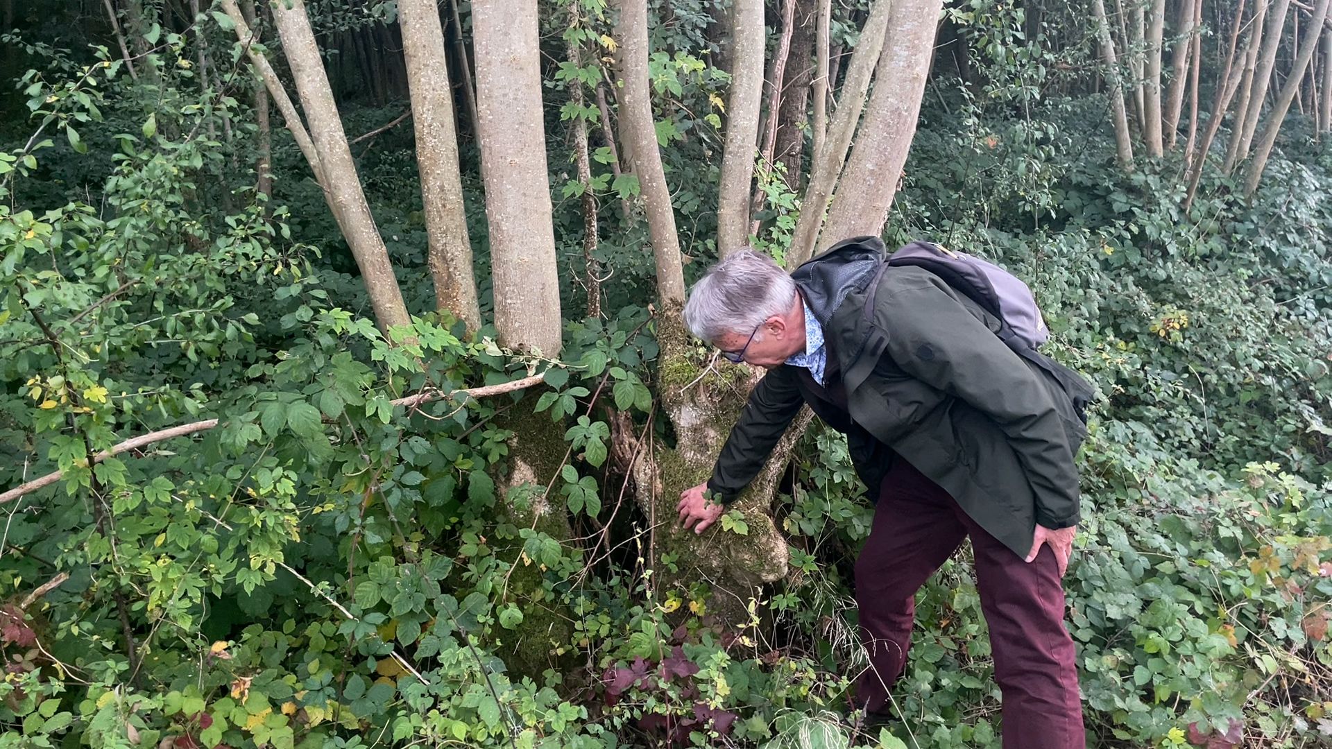 Natuurgebied in gevaar door teveel stikstof en te weinig water: 'We ...