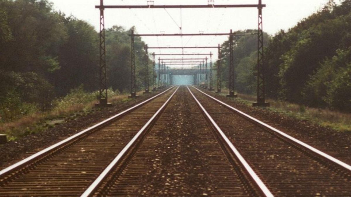 Spoorstaaf gebroken: treinverkeer gestremd - L1