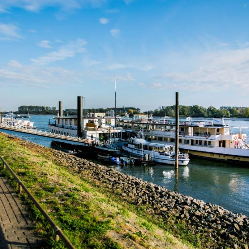 Rijn bij Lobith stond nog nooit zo laag - Omroep Gelderland