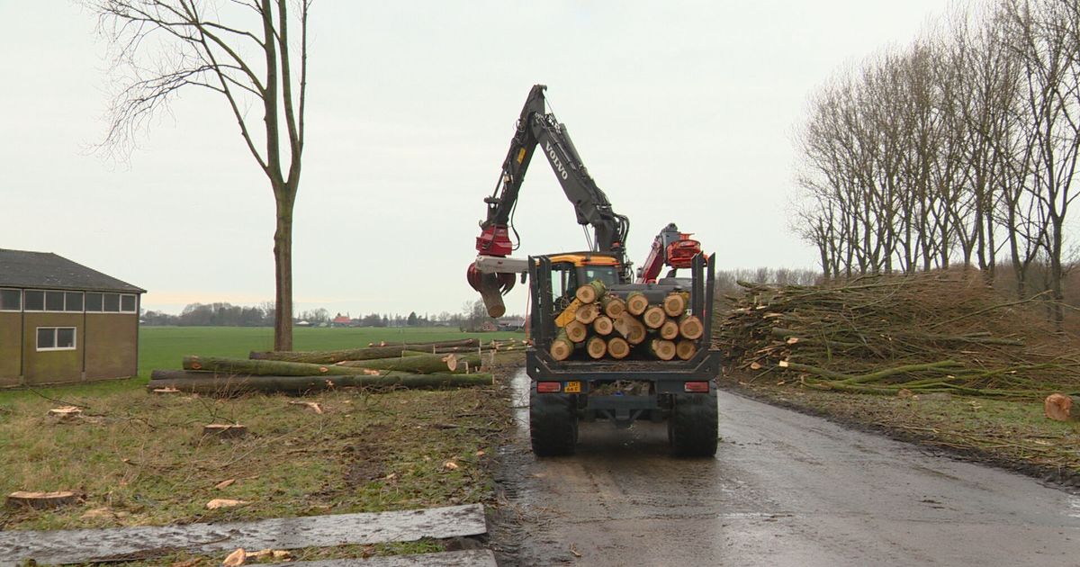 Rydst faak op de N392 tusken De Tynje en Terwispel? Dan moatst de ...