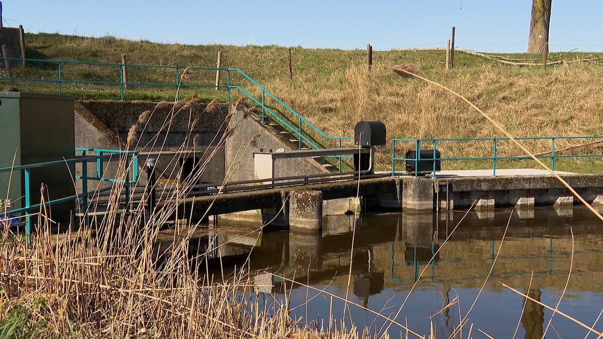 Proef met 'slimme' stuw voor meer zoet water in de sloot - Omroep Zeeland