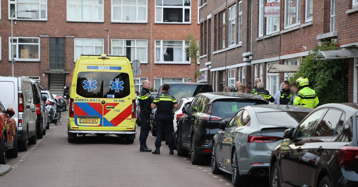 Gewonde bij steekpartij, verdachte opgepakt - Omroep West