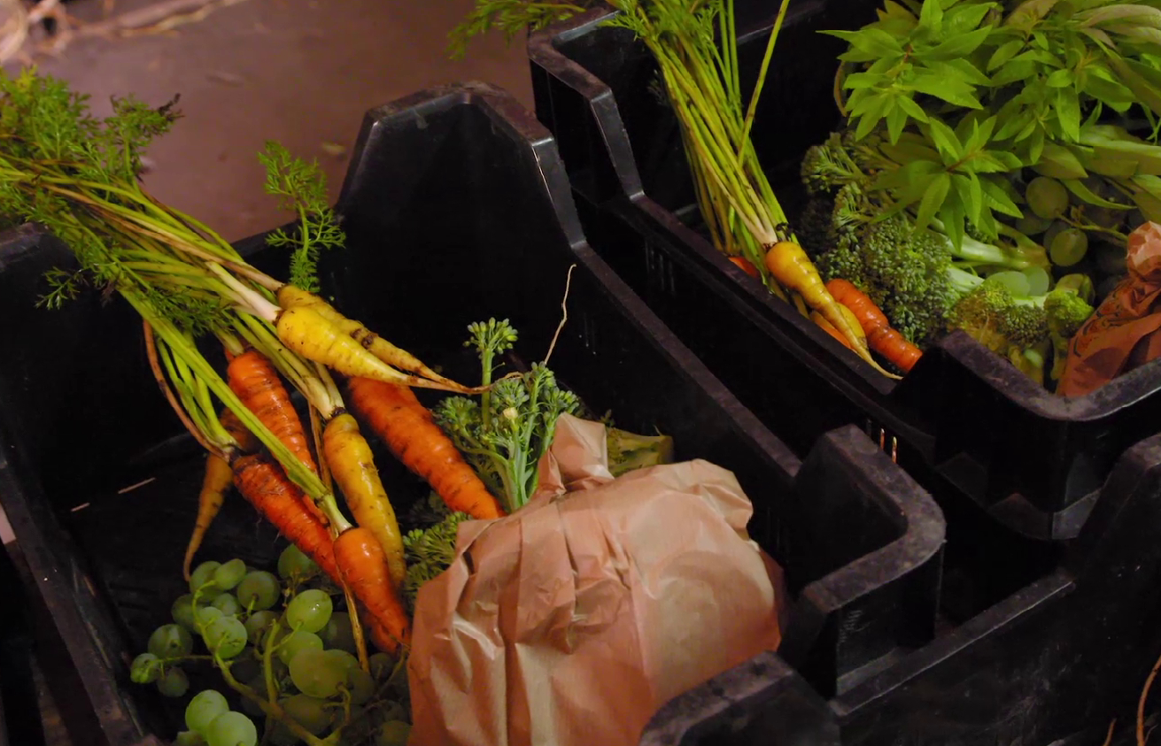 Historische Moestuinen - Diverse historische moestuinen - RTV Utrecht
