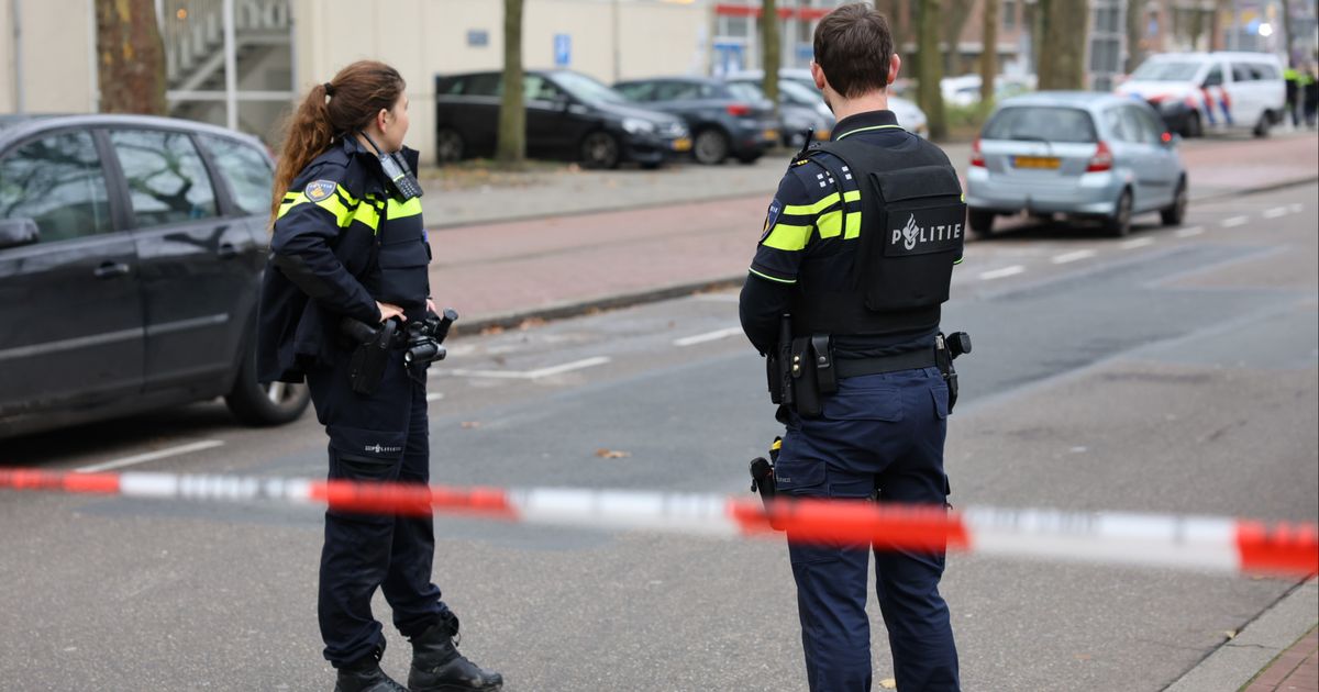 Drie waarschuwingsschoten gelost bij arrestatie Melis Stokelaan - Den ...