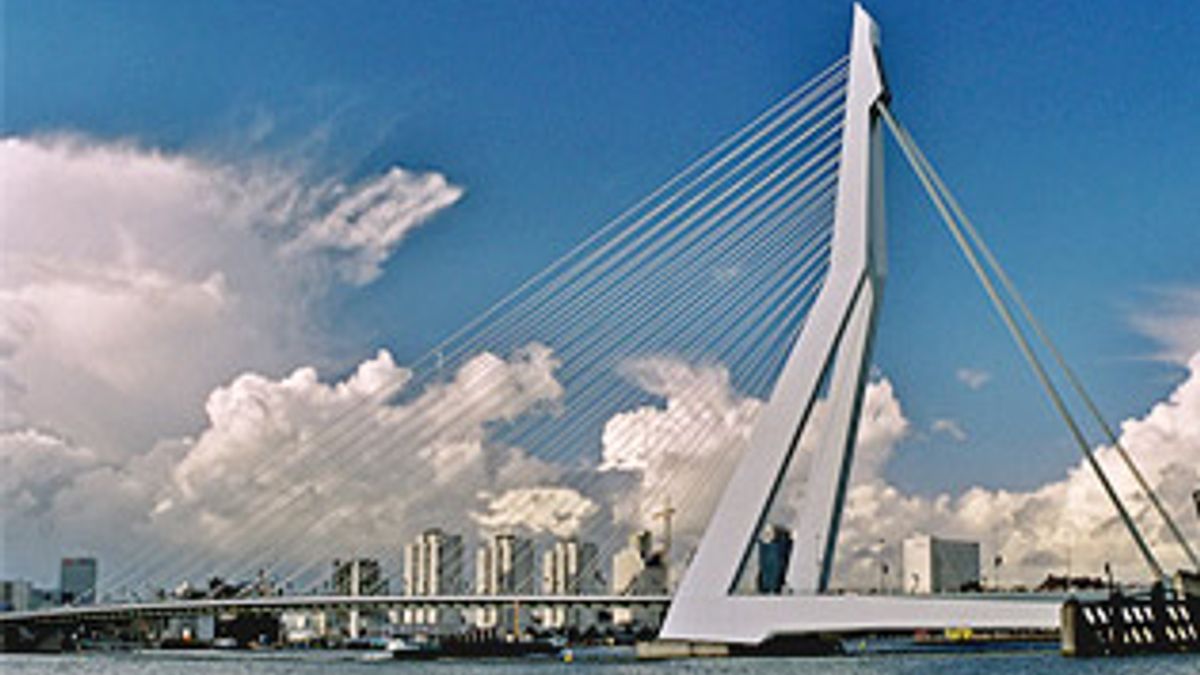 Wie en wat is de Rotterdammer? - Rijnmond