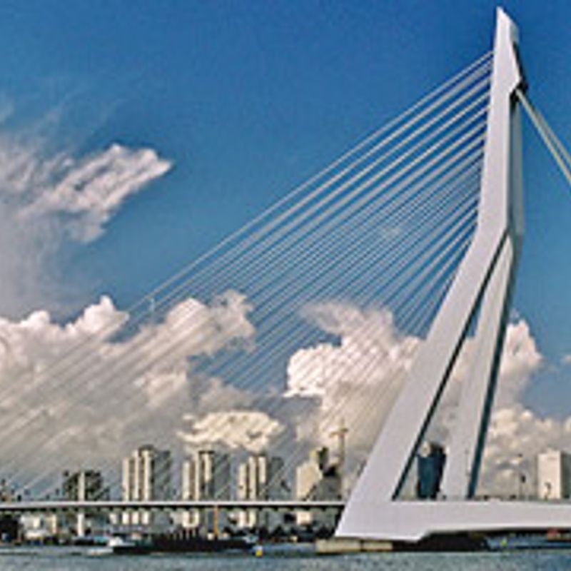 Wie en wat is de Rotterdammer? - Rijnmond