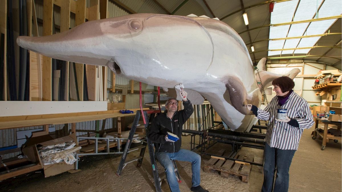 Symbool van Kampen, de Kamper Steur is bel kwijt - Oost