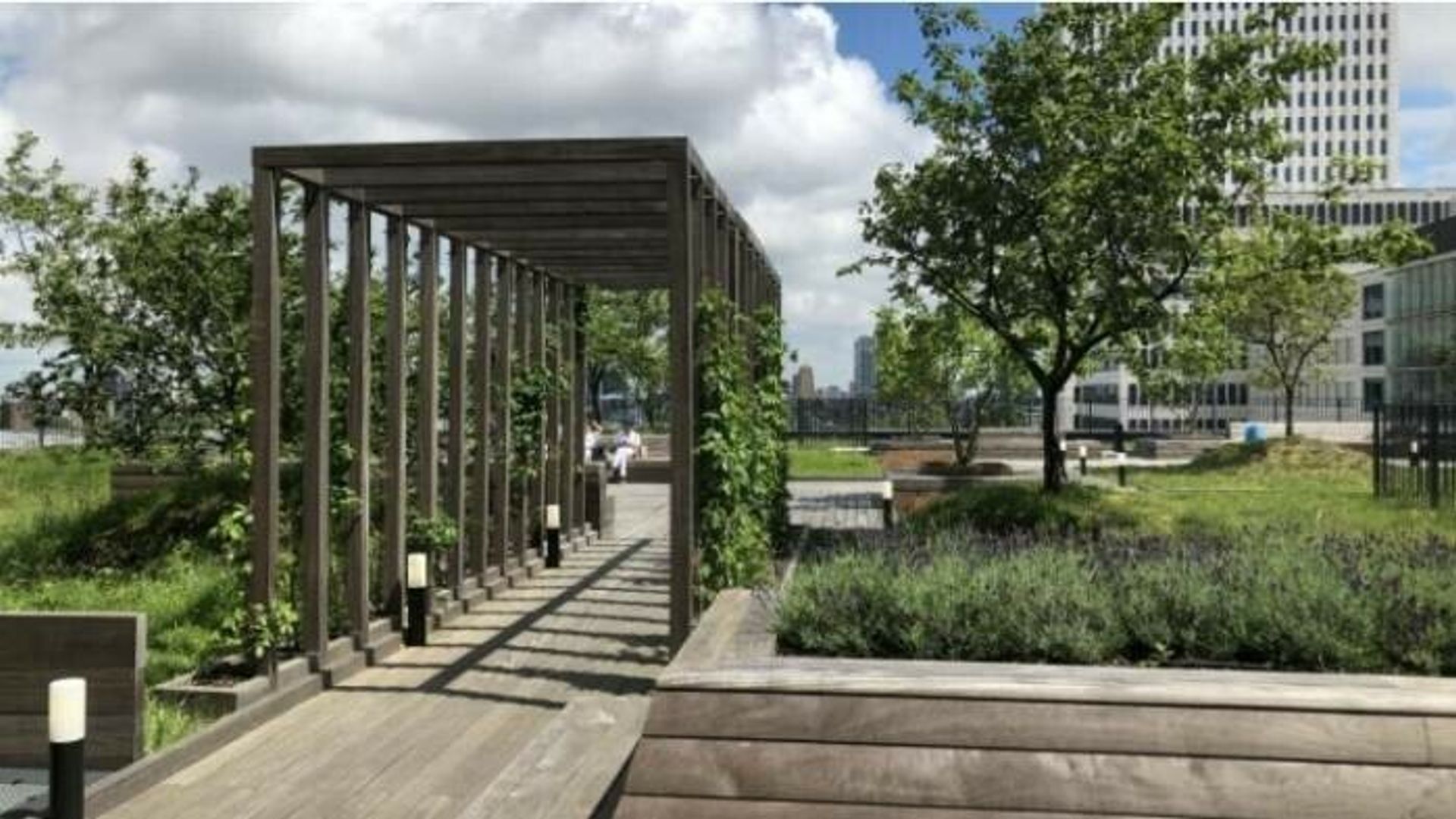 Zeeuwse boomgaard op het dak van Rotterdams ziekenhuis: 'Hier kom je ...