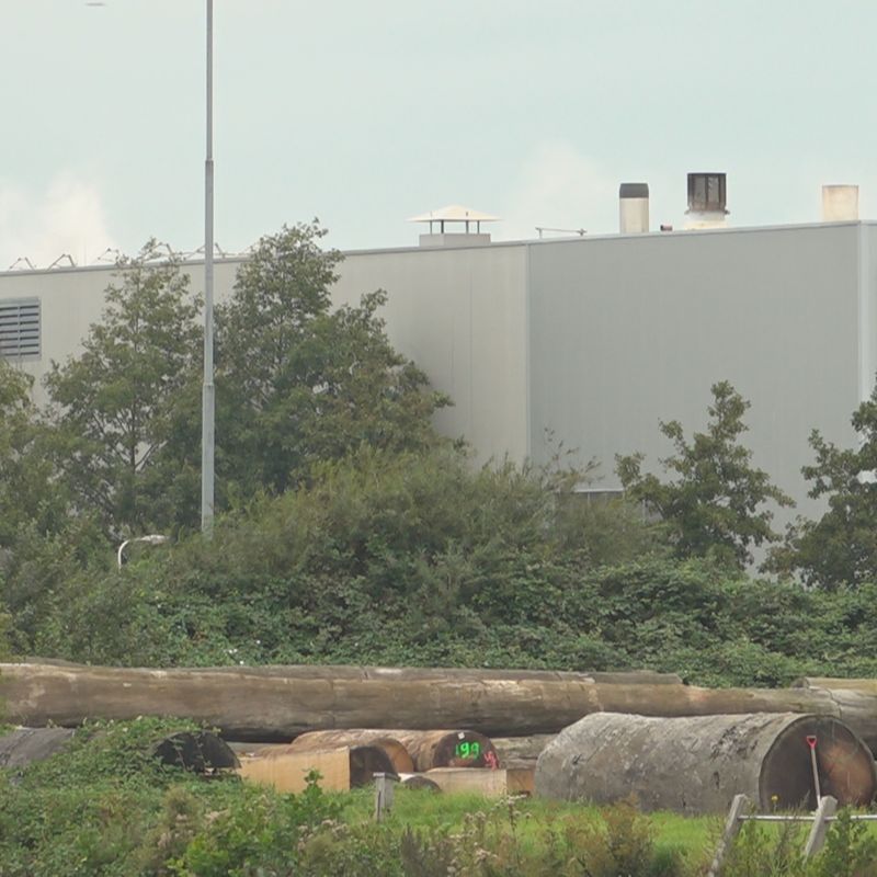 Bedrijven weg uit Steenwijk om aanhoudende overlast IceBear: "Niet meer te doen hier" - Oost