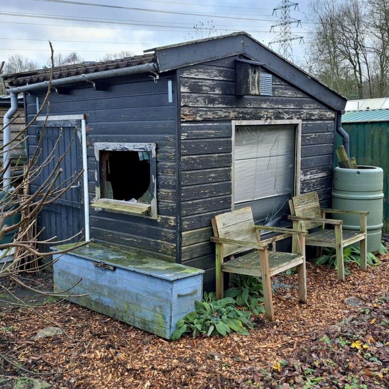 Vandalen slaan weer toe bij tuinders in Baggelhuizen: 'Ben er echt wel ...
