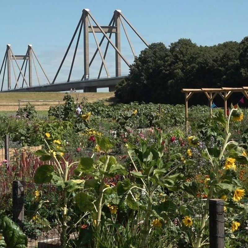 Met de komst van deze grote moestuin gaat wens in vervulling - Omroep ...