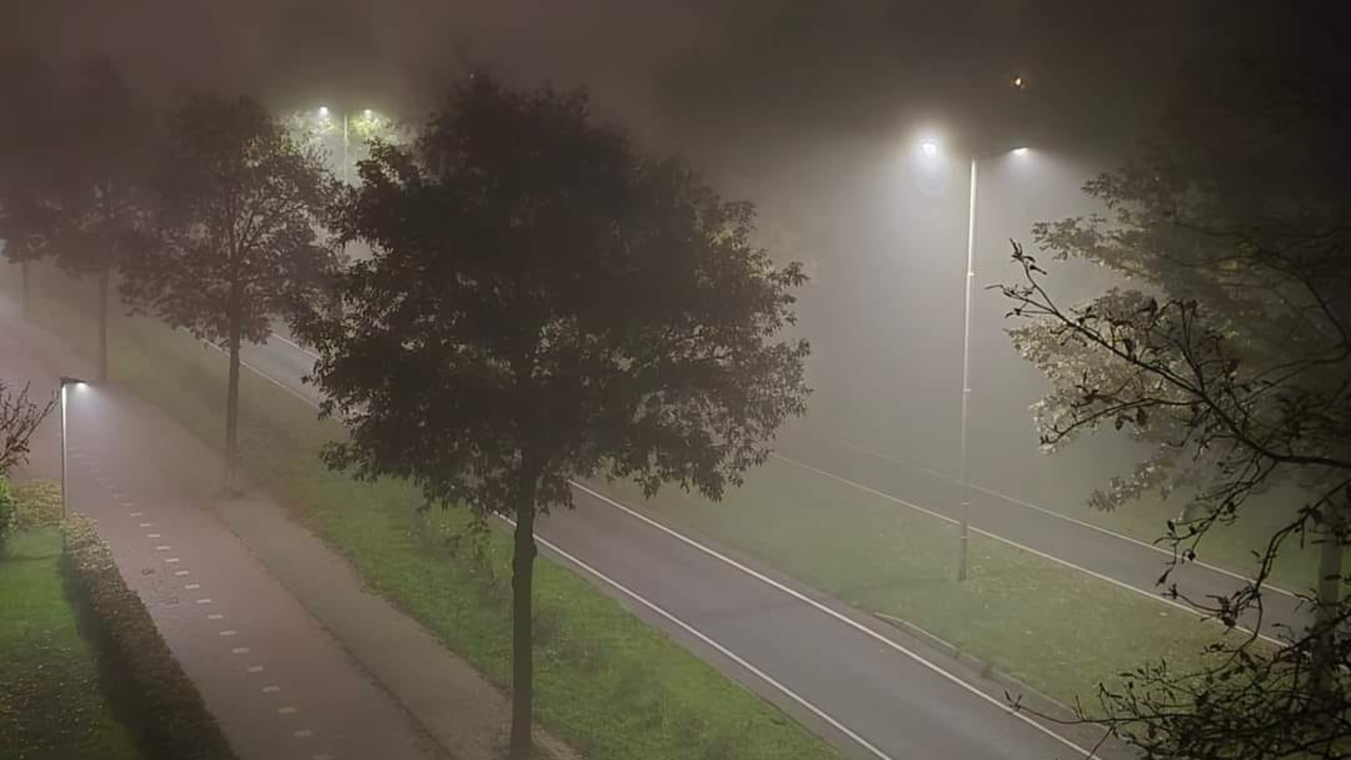 Weggebruikers opgelet: dichte mist, KNMI geeft code geel af - Rijnmond