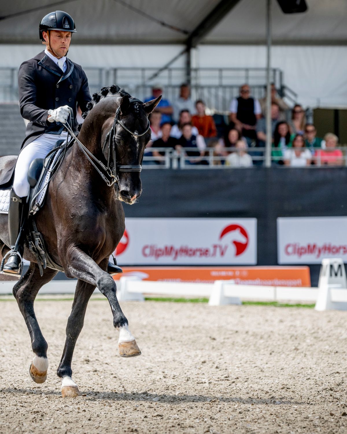 Laurens van Lieren nieuwe technische baas paardensportbond - Omroep Zeeland