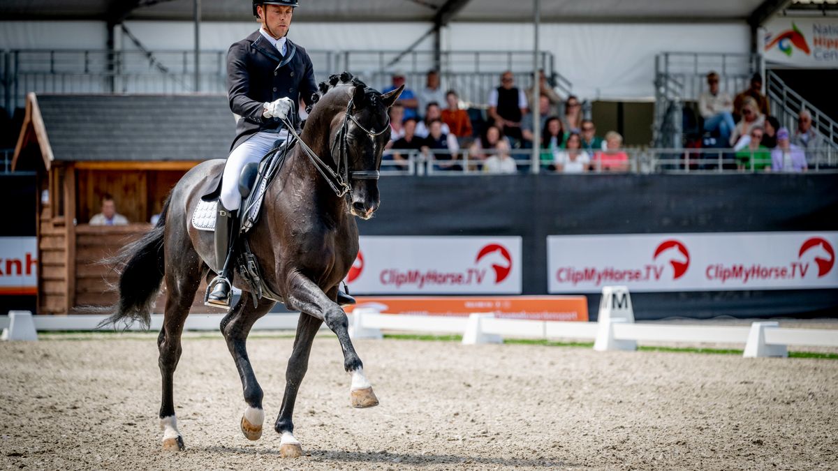 Laurens van Lieren nieuwe technische baas paardensportbond - Omroep Zeeland