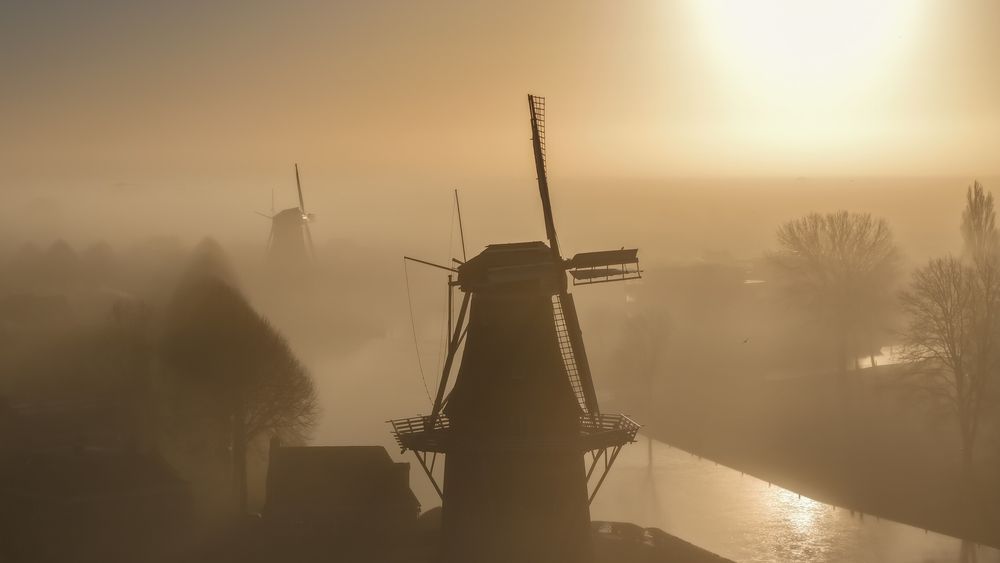 Koade giel yn ferbân mei tanimmende mist - Omrop Fryslân