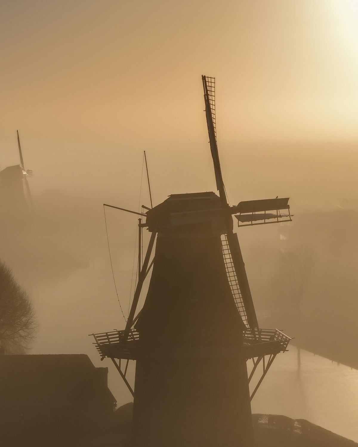 Koade giel yn ferbân mei tanimmende mist - Omrop Fryslân