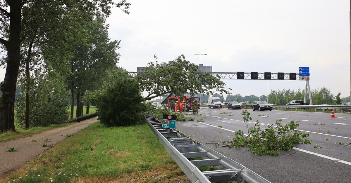 Boom op snelweg door onstuimig weer: lange tijd rijstroken dicht - Rijnmond