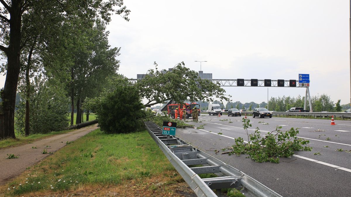 Boom op snelweg door onstuimig weer: rijstroken dicht en uur vertraging ...