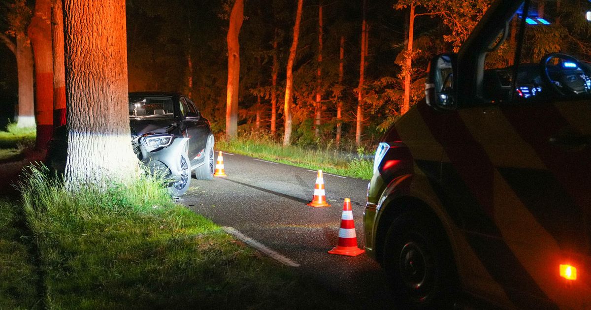 Auto botst frontaal tegen boom bij Anderen - RTV Drenthe