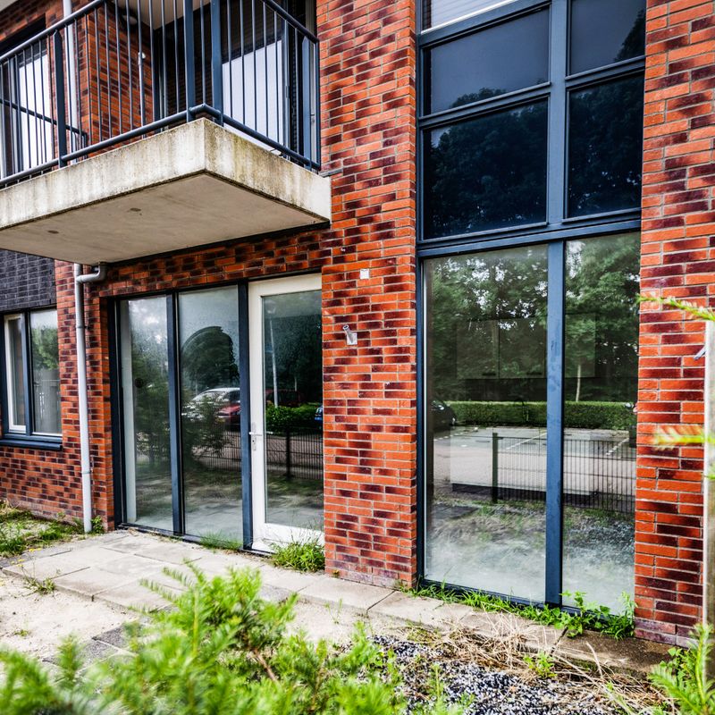 Nieuw gebouw ineens vol scheuren, sloop enige optie: 'Moet maar zien ...