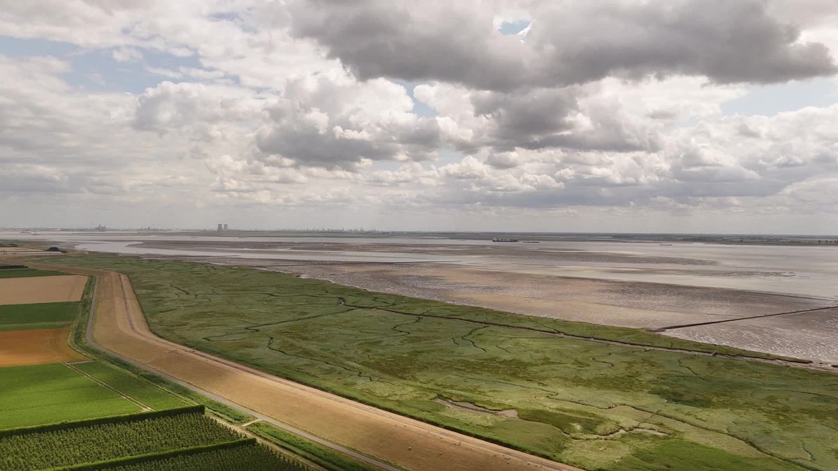 De oester is nu ‘retepopulair’: Randstedelingen trekken er massaal voor ...