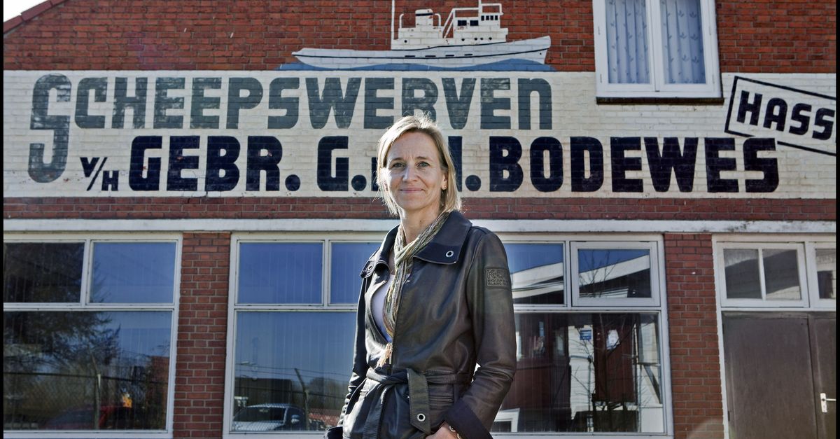 Lagere straffen voor oplichters van scheepswerf Bodewes uit Hasselt - Oost
