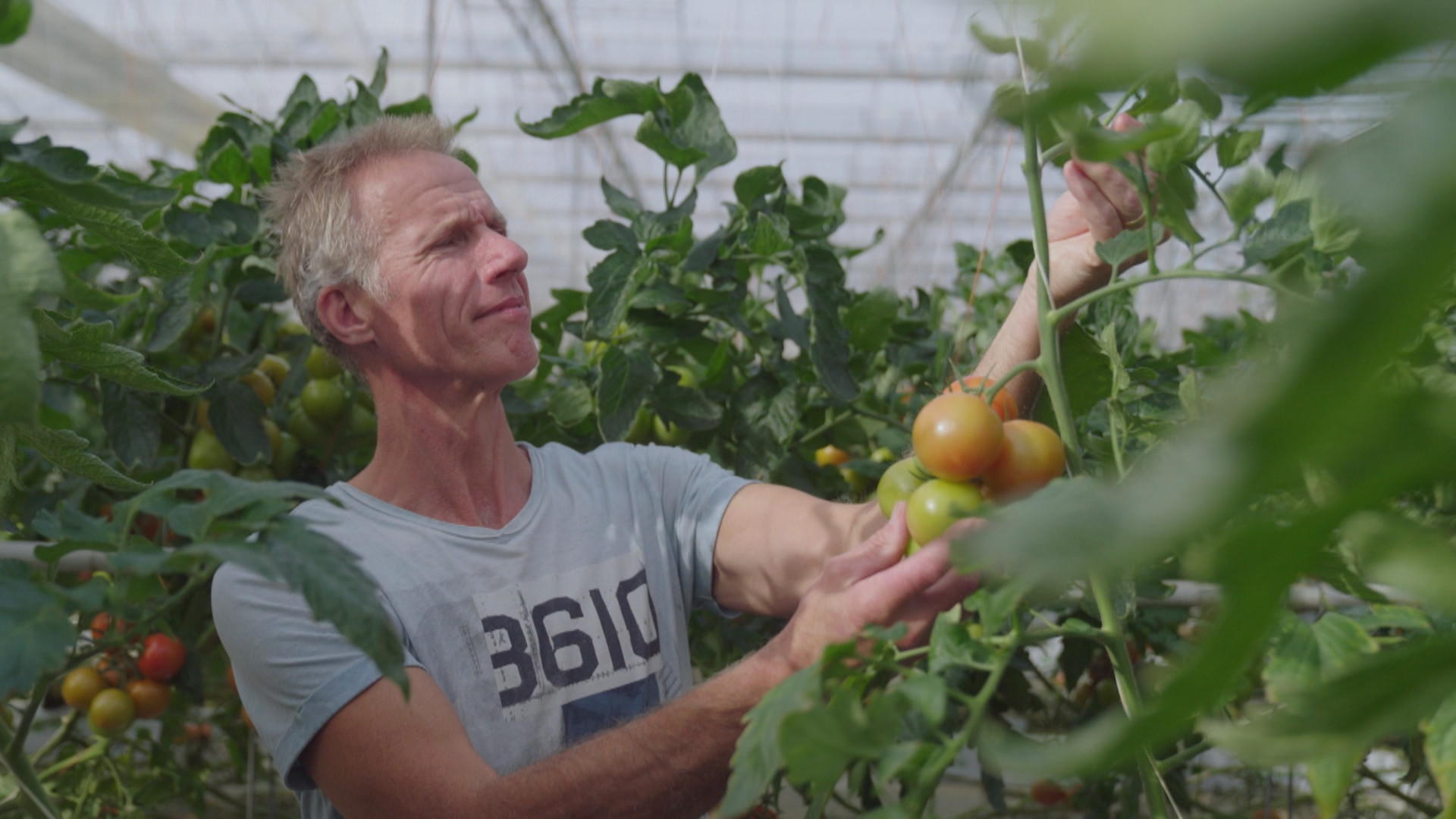 Tuinders vrezen levenswerk door strenge regels en hoge prijzen: 'Daar gaat m'n toekomst ...
