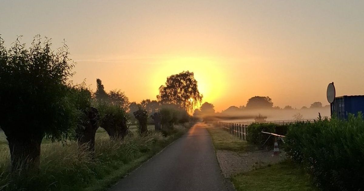 HITTE | Code oranje voor extreme hitte • Vrijdag mogelijk 40 graden in ...