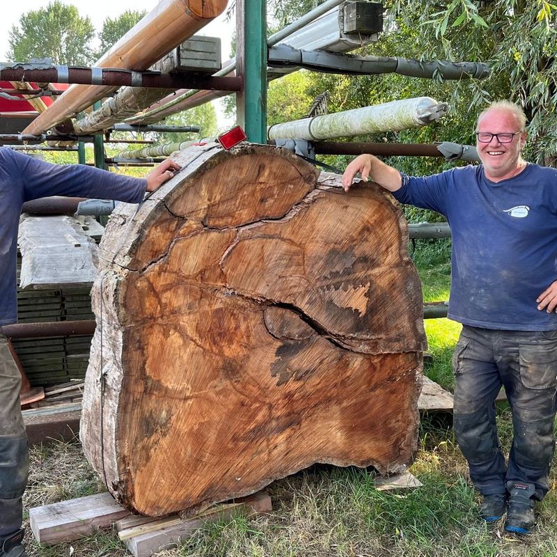 Bruine vloot doet aan 'preventieve ruiming' van oude masten - Omrop Fryslân