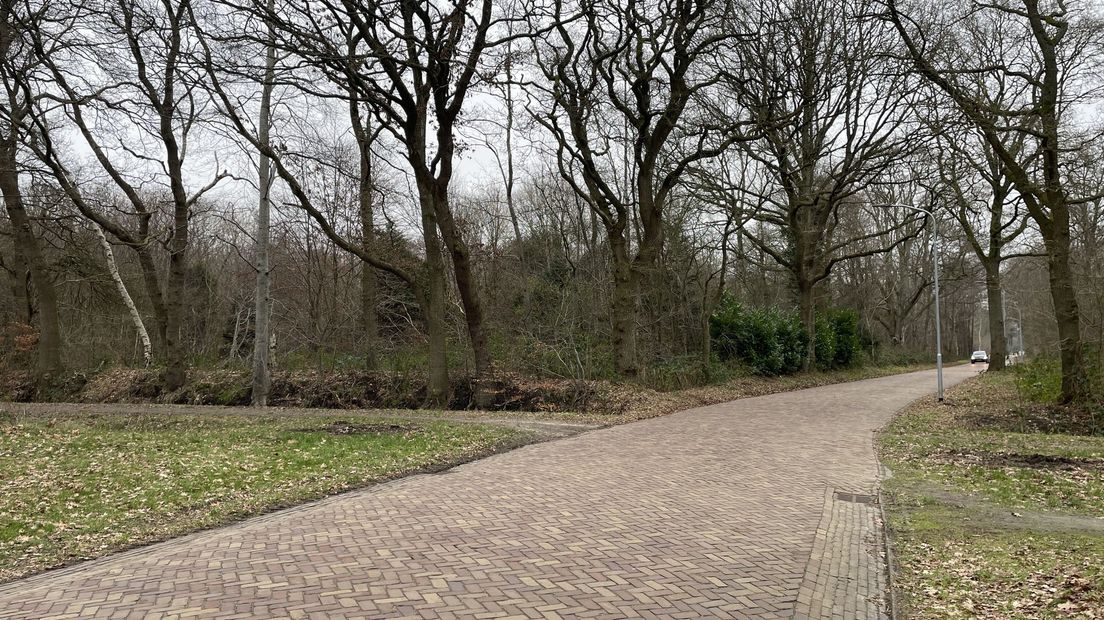 Hockeyclub komt met plan om 'puzzel Roden-Zuid' makkelijker te maken ...