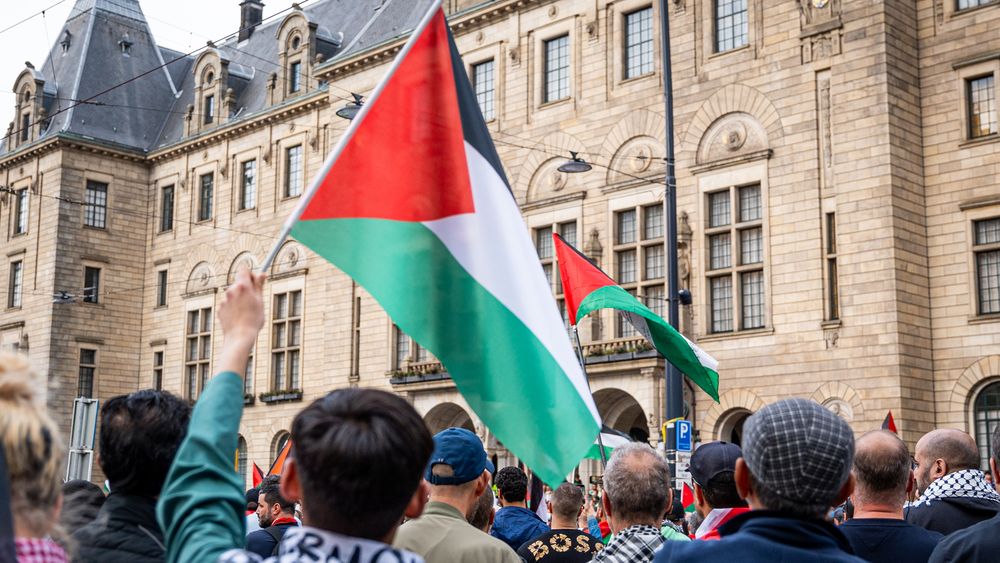 Lees terug: Demonstratie voor Gaza trok tienduizend betogers naar Coolsingel - Rijnmond