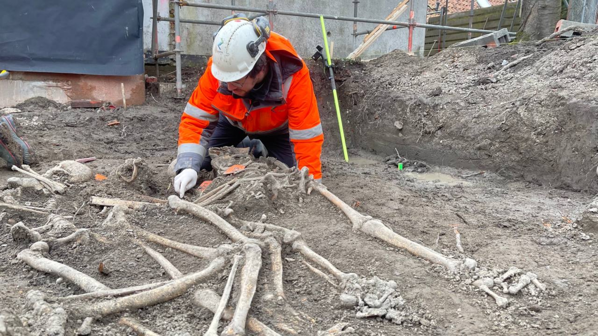 Grote en bijzondere archeologische vondst in Rottum: 31 skeletten - RTV ...