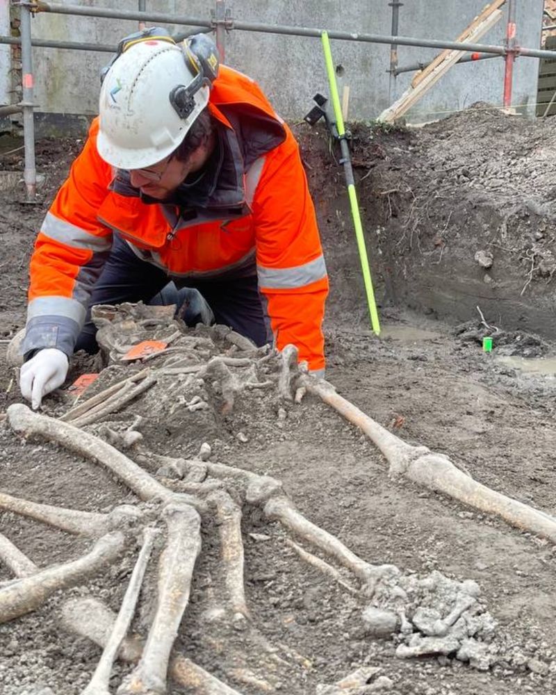 Grote en bijzondere archeologische vondst in Rottum: 31 skeletten - RTV ...