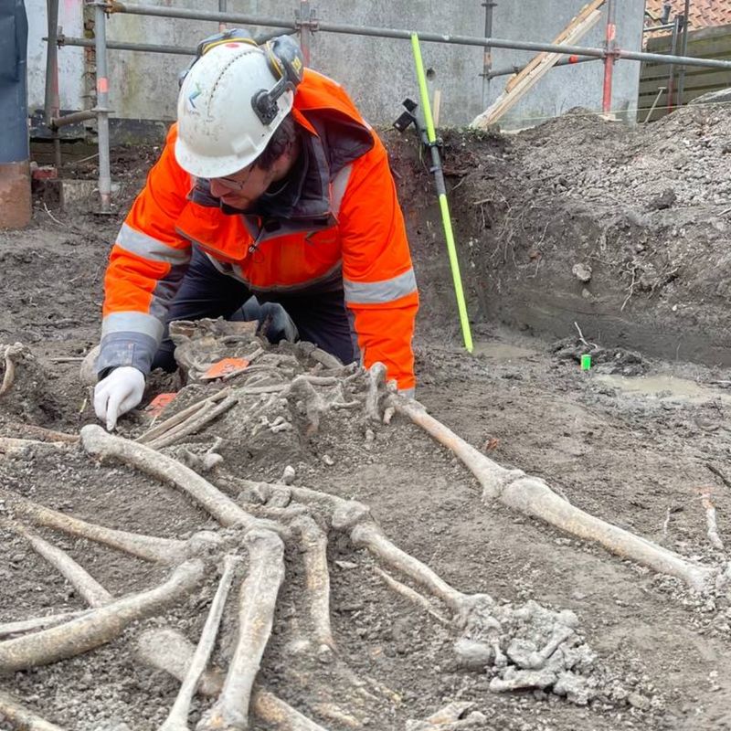 Grote en bijzondere archeologische vondst in Rottum: 31 skeletten - RTV ...