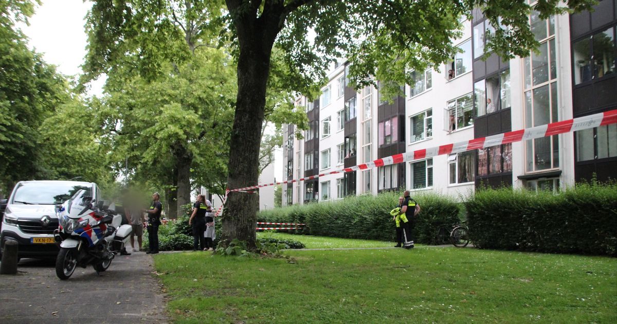 Jong kind maakt val van driehoog uit raam in Dordrecht - Rijnmond