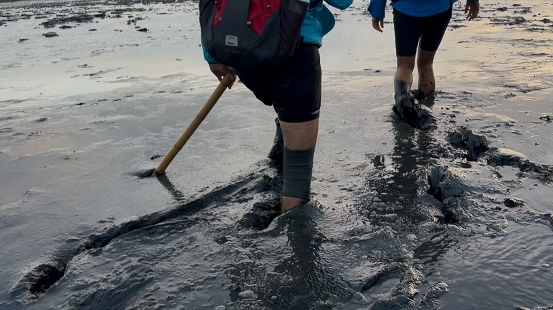 Toekomst van het wadlopen is onzeker: "Het worden pittige tochtjes ...