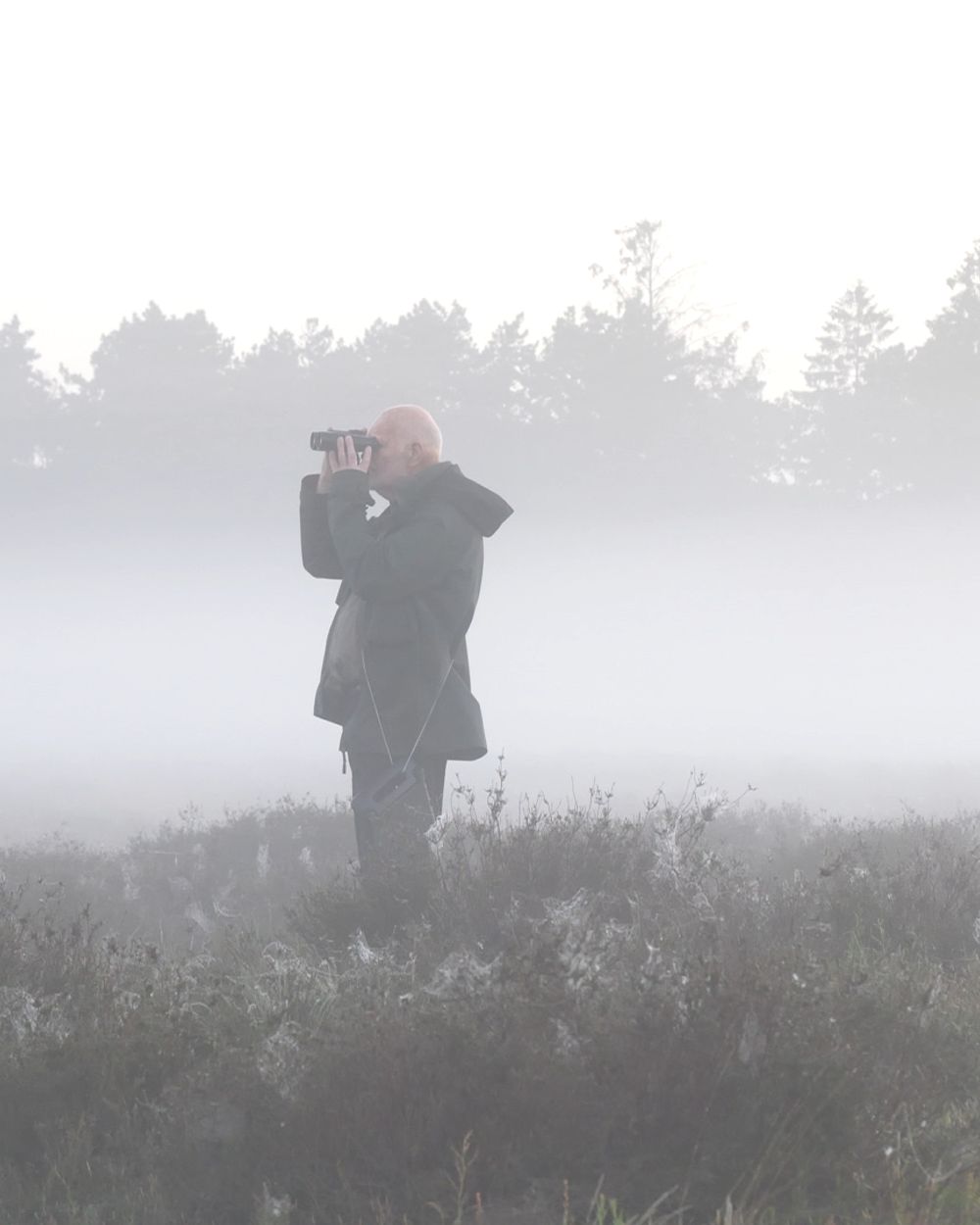 Nog voor iedereen ontwaakt, staat Arend Jan van Dijk al bij de vogels ...