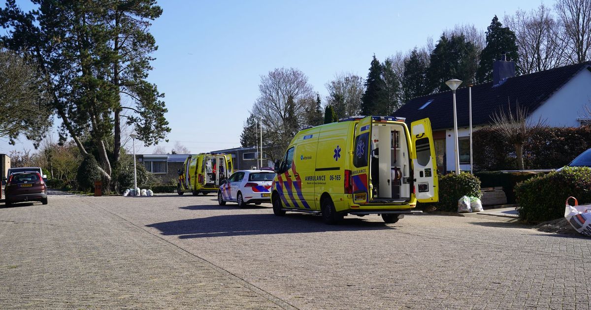 Man ernstig gewond na val uit boom - Omroep Gelderland