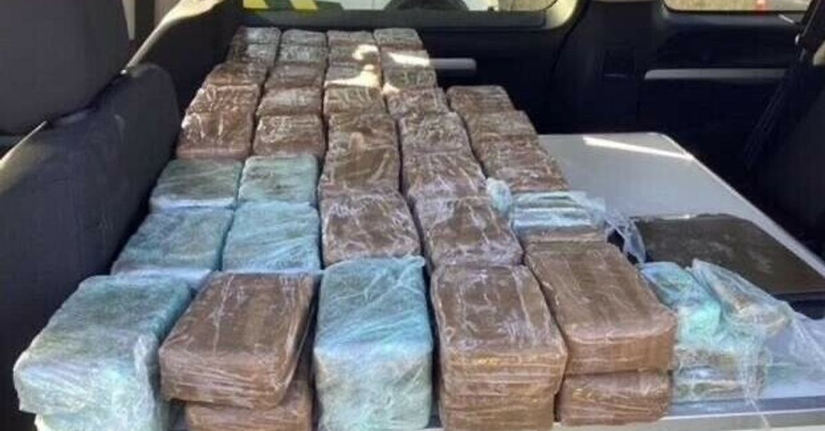 77 kilo hasj onderschept in haven van Vlissingen - Omroep Zeeland