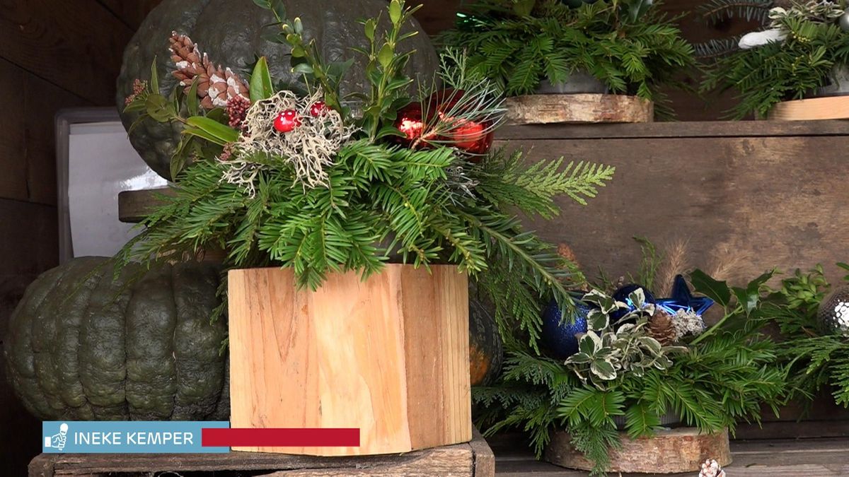 De uit de hand gelopen hobby van Herma Vos: kerststukjes maken - RTV ... De uit de hand gelopen hobby van Herma Vos: kerststukjes maken - RTV ...