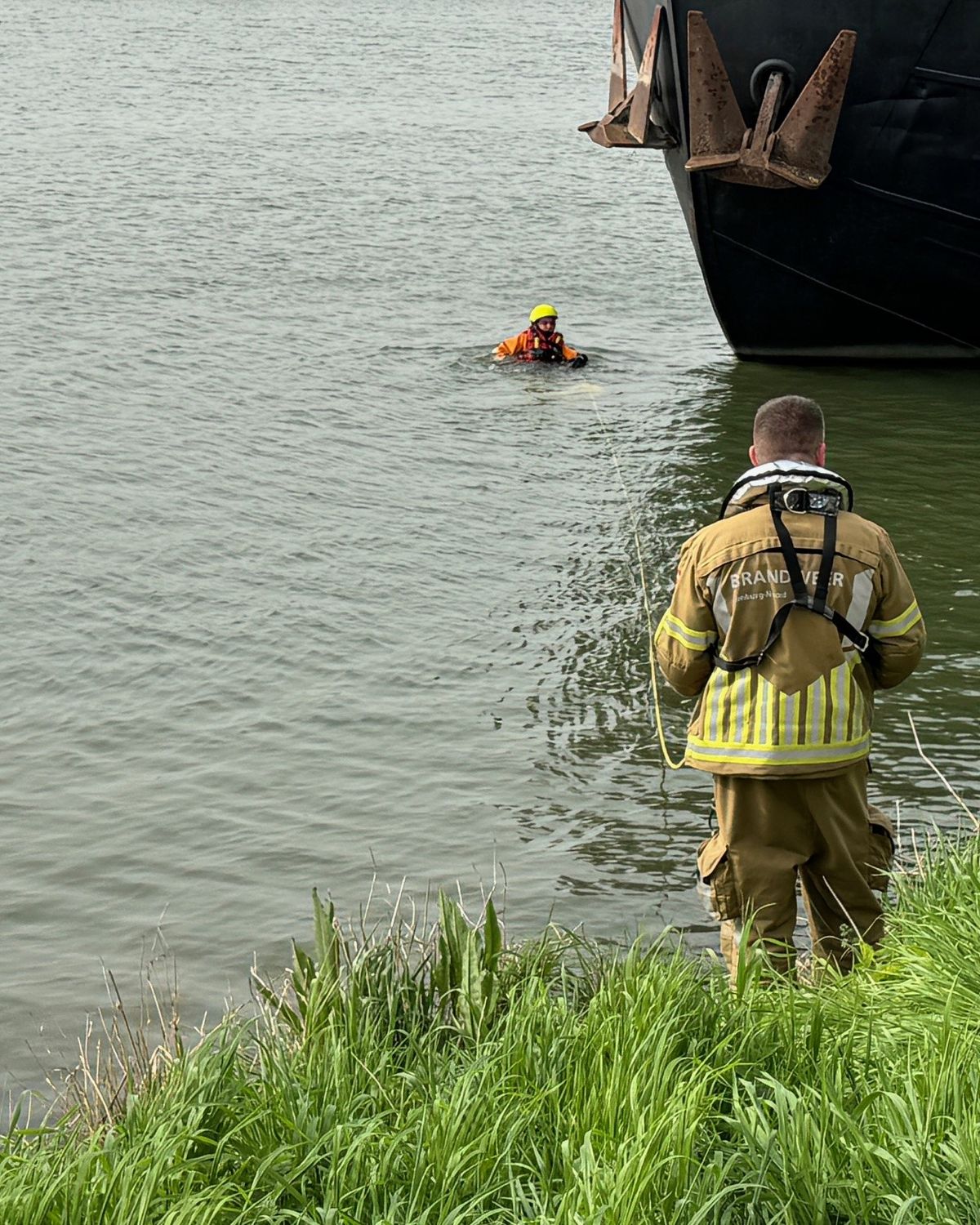 Man overleden na val van vrachtschip in haven Maasbracht - L1 Nieuws