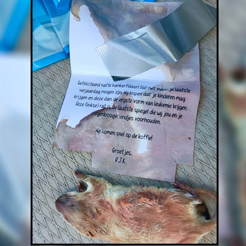 Dode rat in de brievenbus en ‘walgelijke’ spandoeken: dader krijgt ...