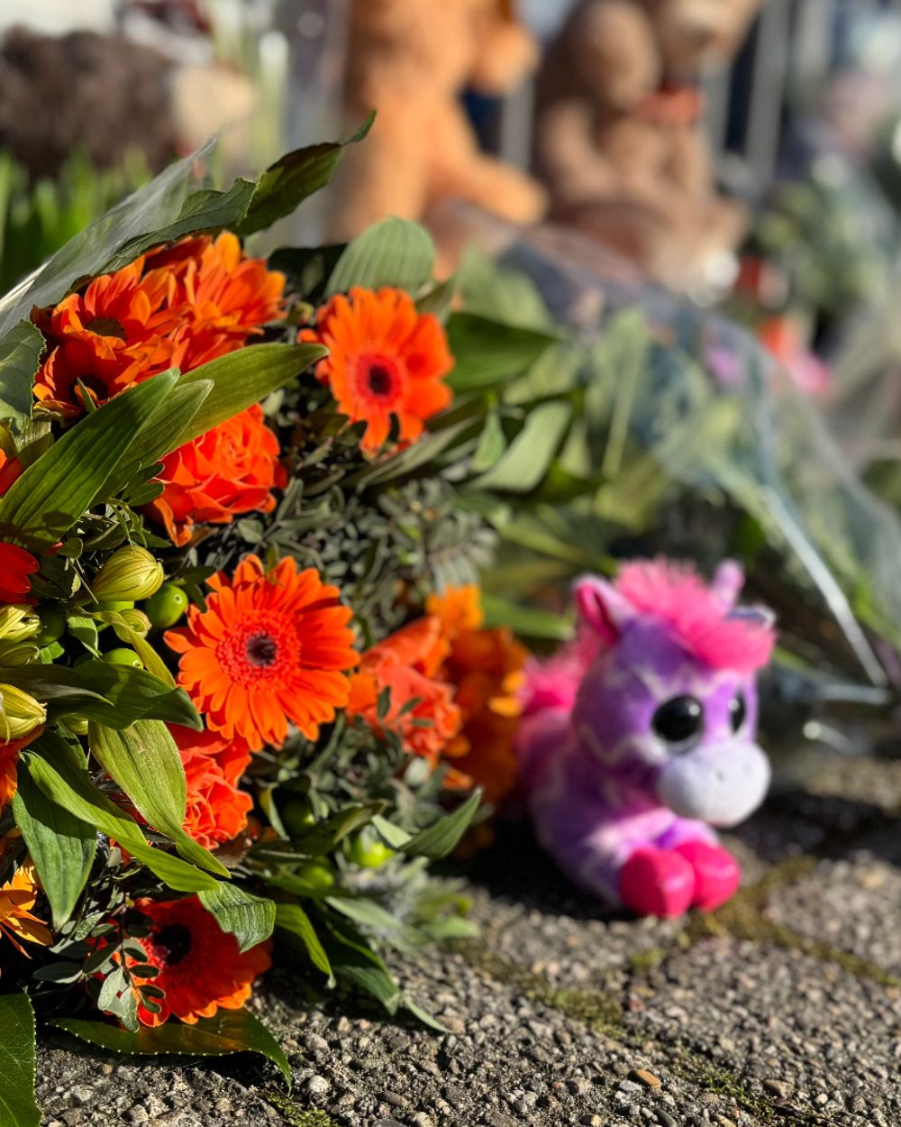 Ongeloof overheerst in Nieuwegein na dood meisje (11): 'Dit is ...