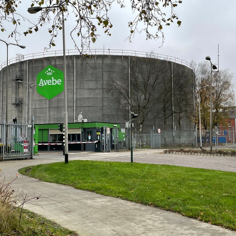 Zorgen bij Avebe over toekomst aardappelmarkt, ondanks grote productie ...
